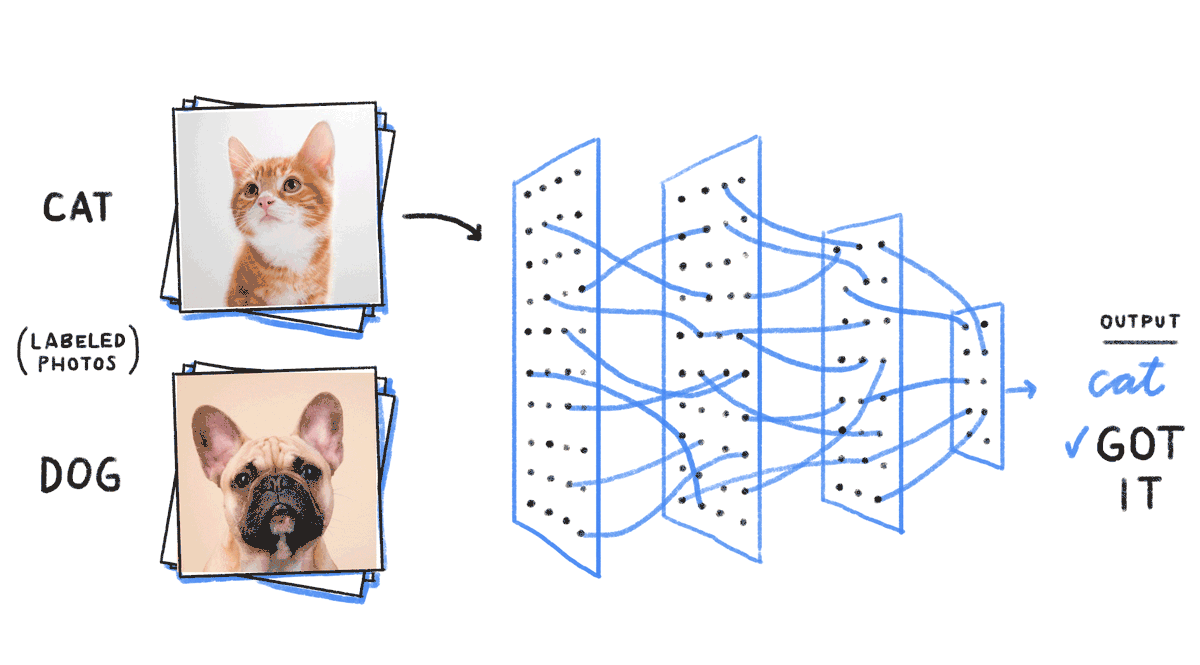 Workshop on Deep Learning and Ecology | Olivier Gimenez